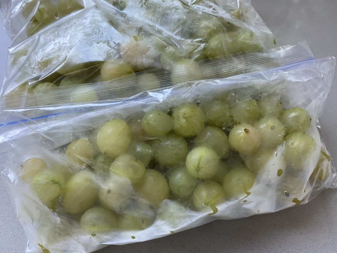 How to Freeze Gooseberries - Everyday Baker