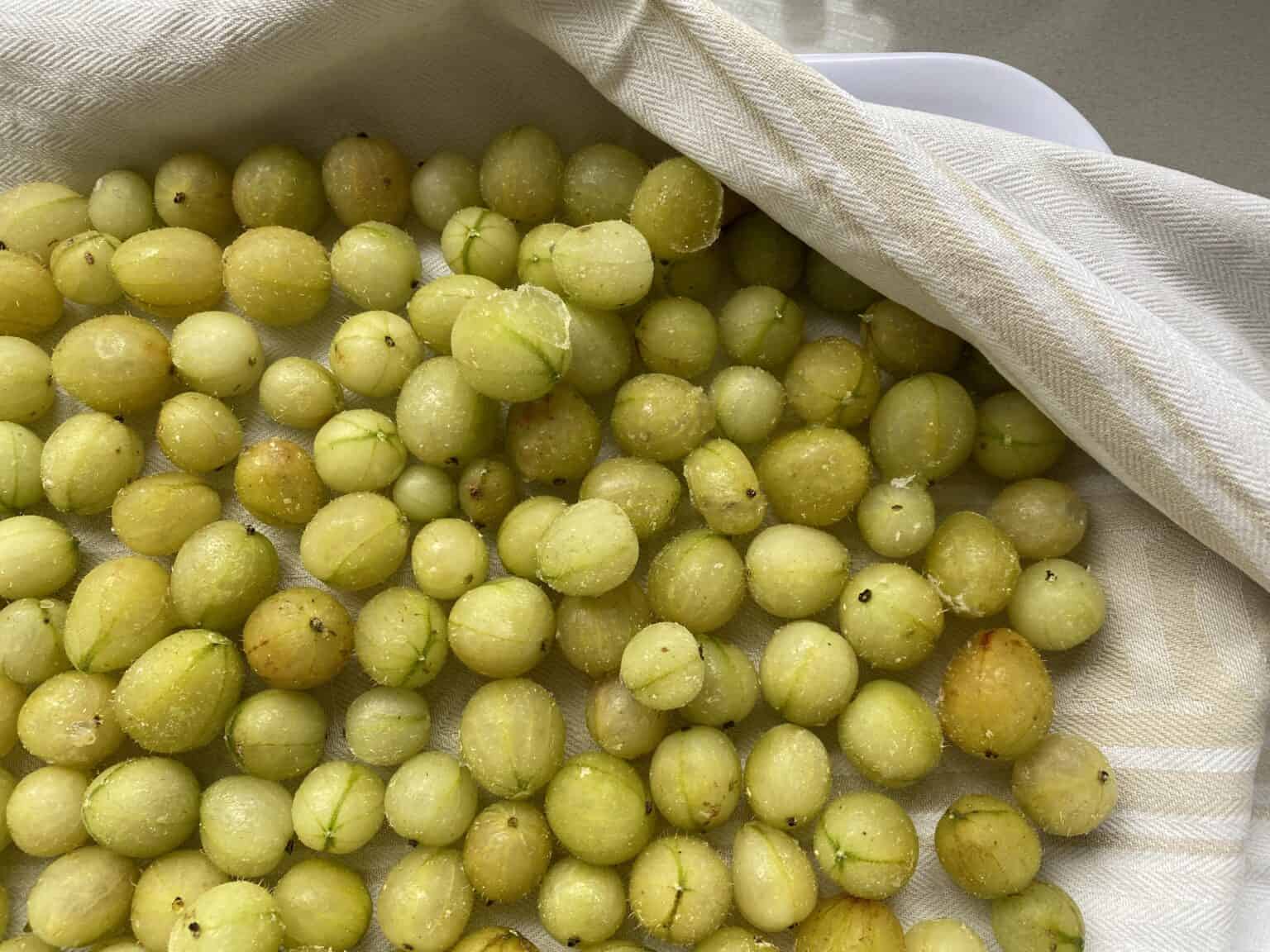 How to Freeze Gooseberries - Everyday Baker